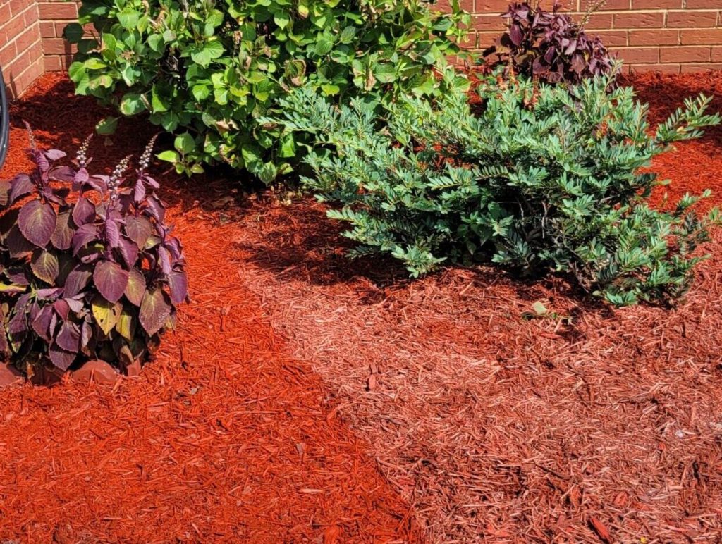 Mulch & Pine Straw Color-Refresh in Small Yards